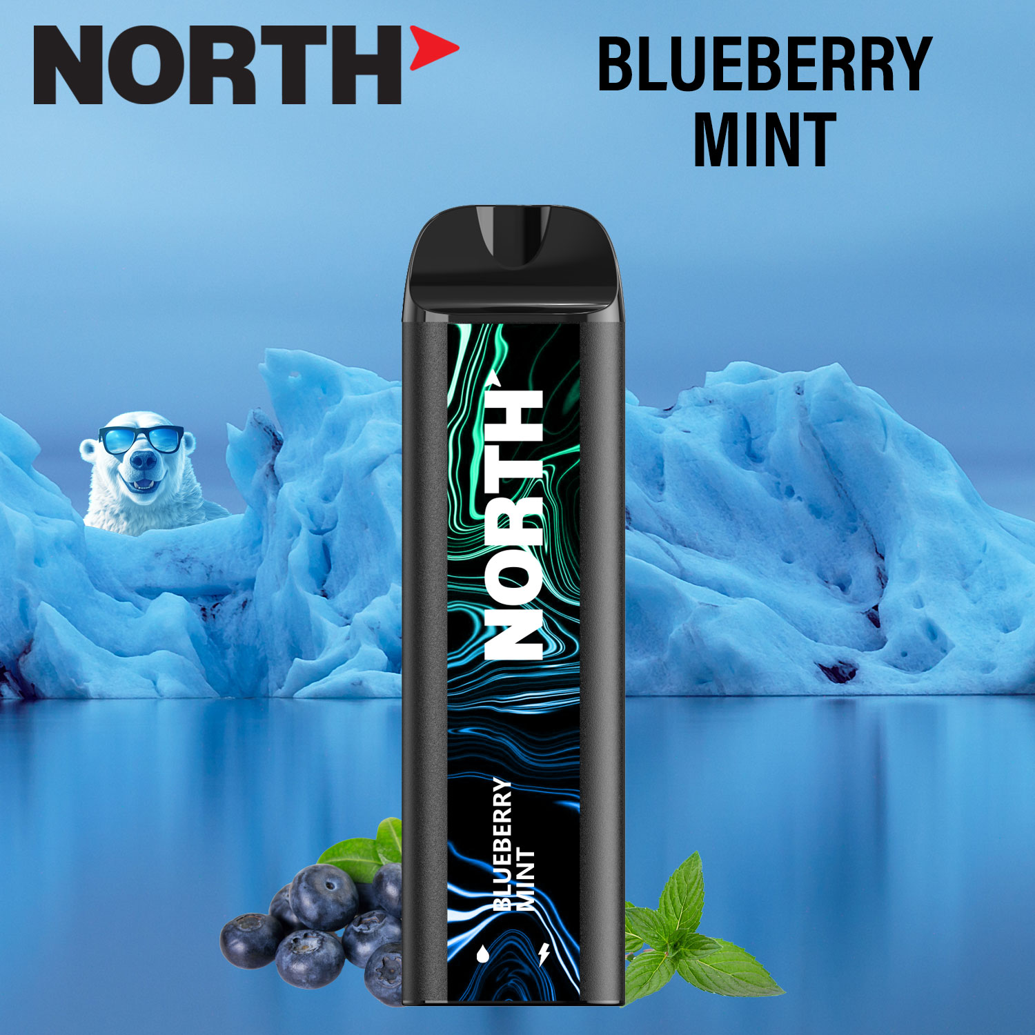 North Vape | Rechargeable, Disposable Vape With Over 40 flavors!