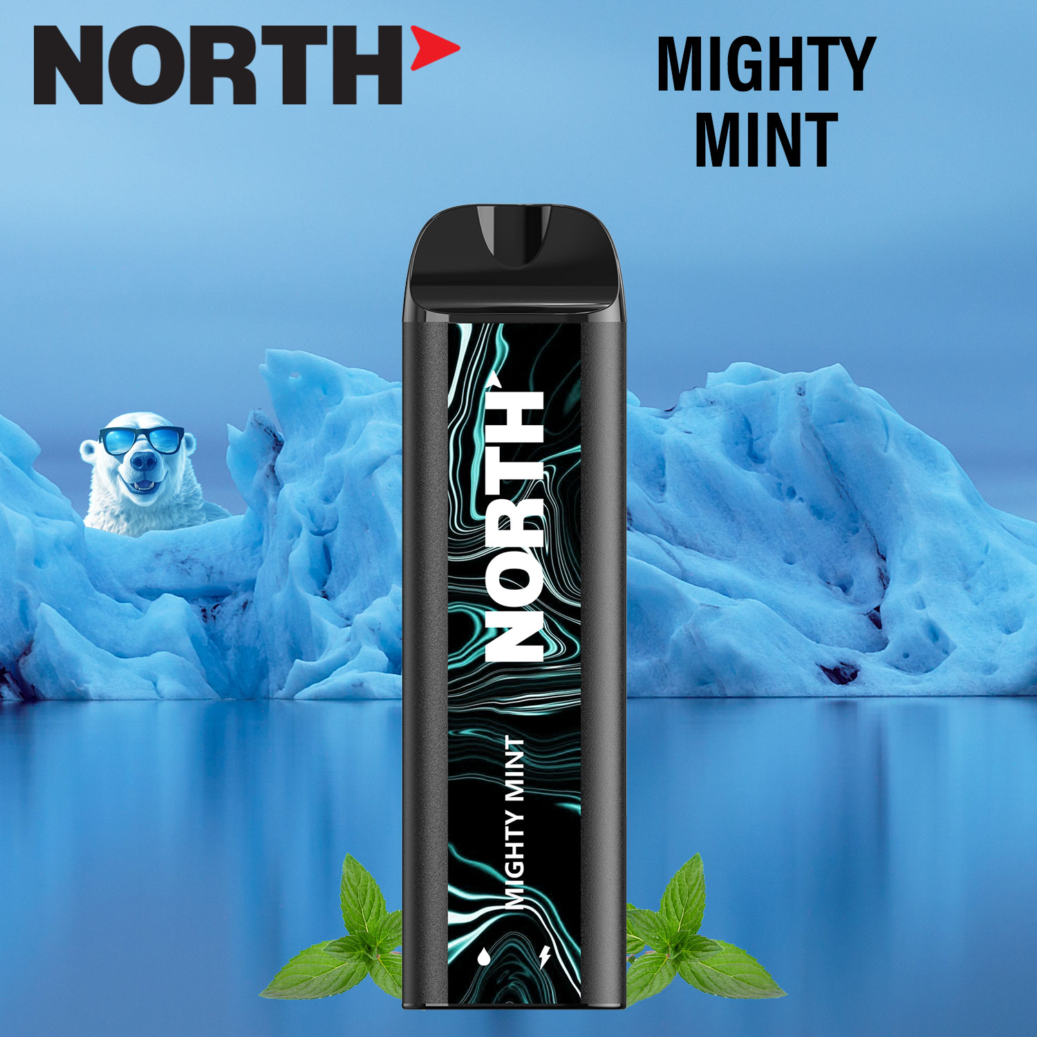 North Vape | Rechargeable, Disposable Vape With Over 40 flavors!