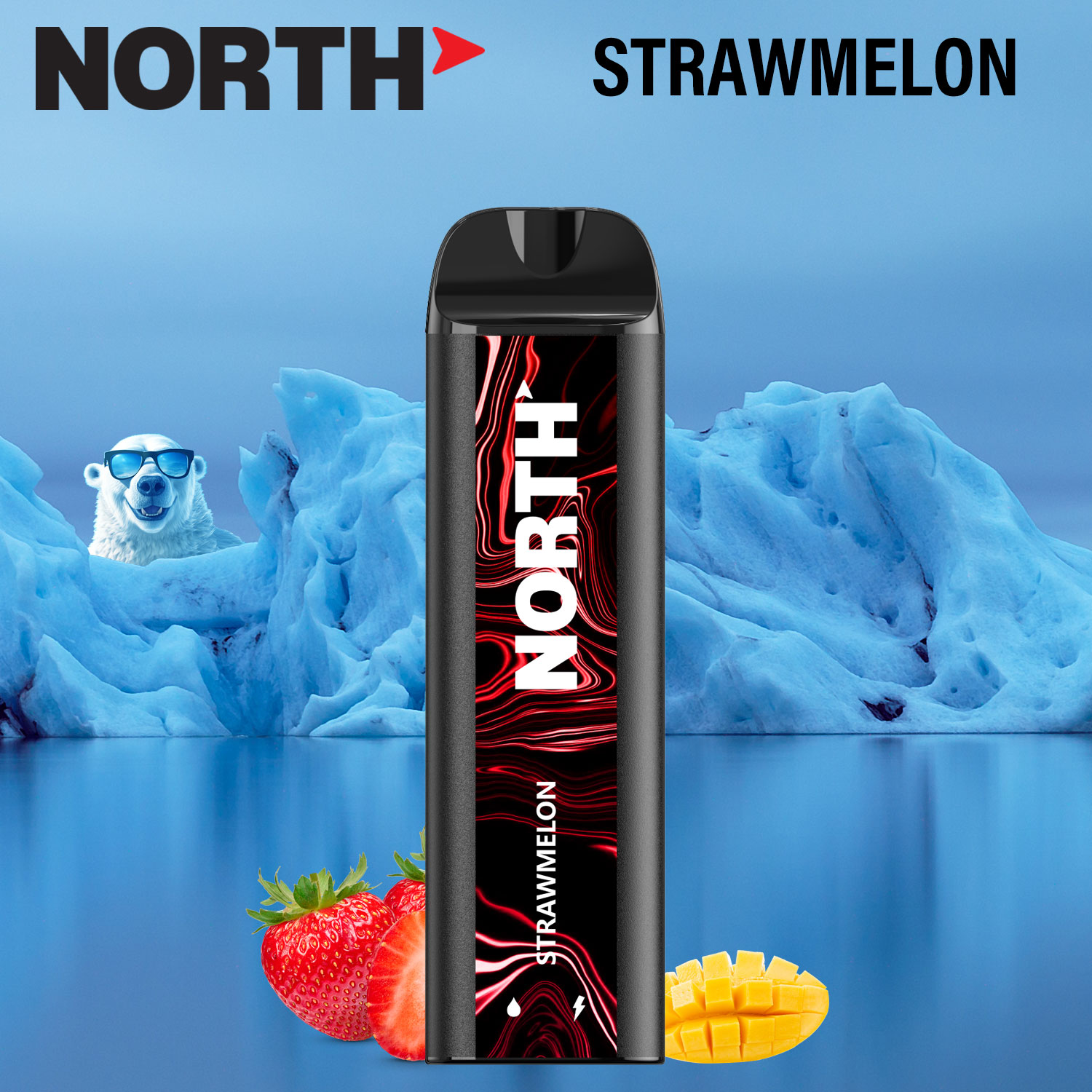 North Vape Rechargeable Disposable Vape With Over 40 Flavors North Vape Rechargeable Disposable Vape With Over 40 Flavors