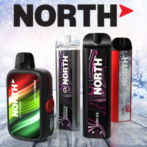 North Vape | Rechargeable, Disposable Vape With Over 40 flavors!