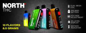 North Vape | Rechargeable, Disposable Vape With Over 40 flavors!