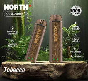 North Vape | The Original Groundbreaking Device! – North Vape